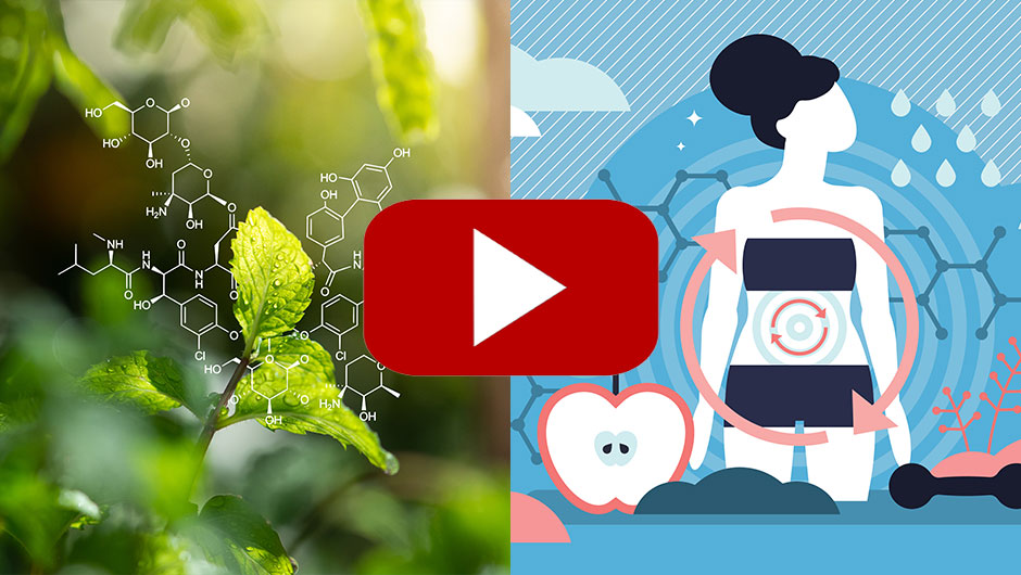 Cardiologists Reveal: Eliminate Belly Fat with This Simple Bedtime Trick – NextStep Health